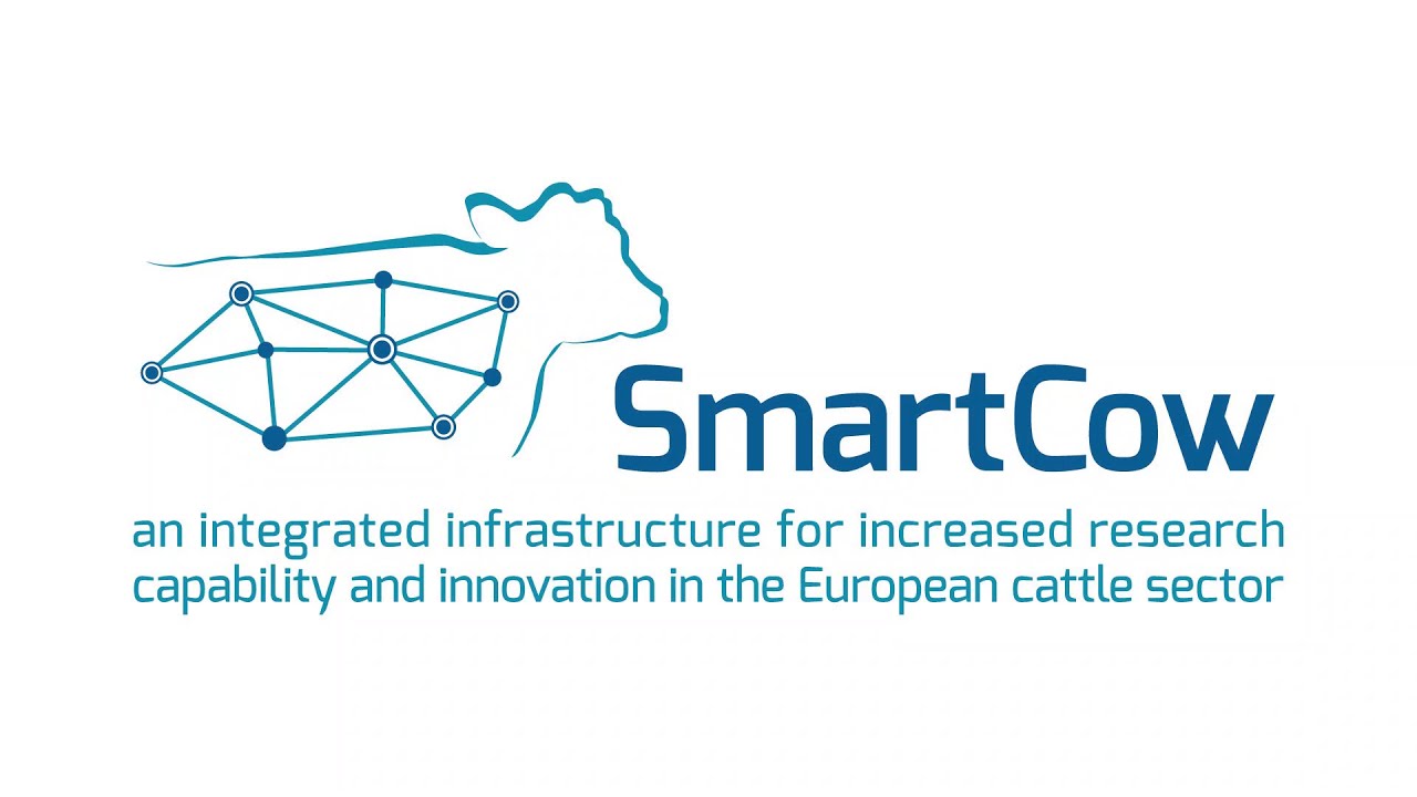 New SmartCow video! – SmartCow